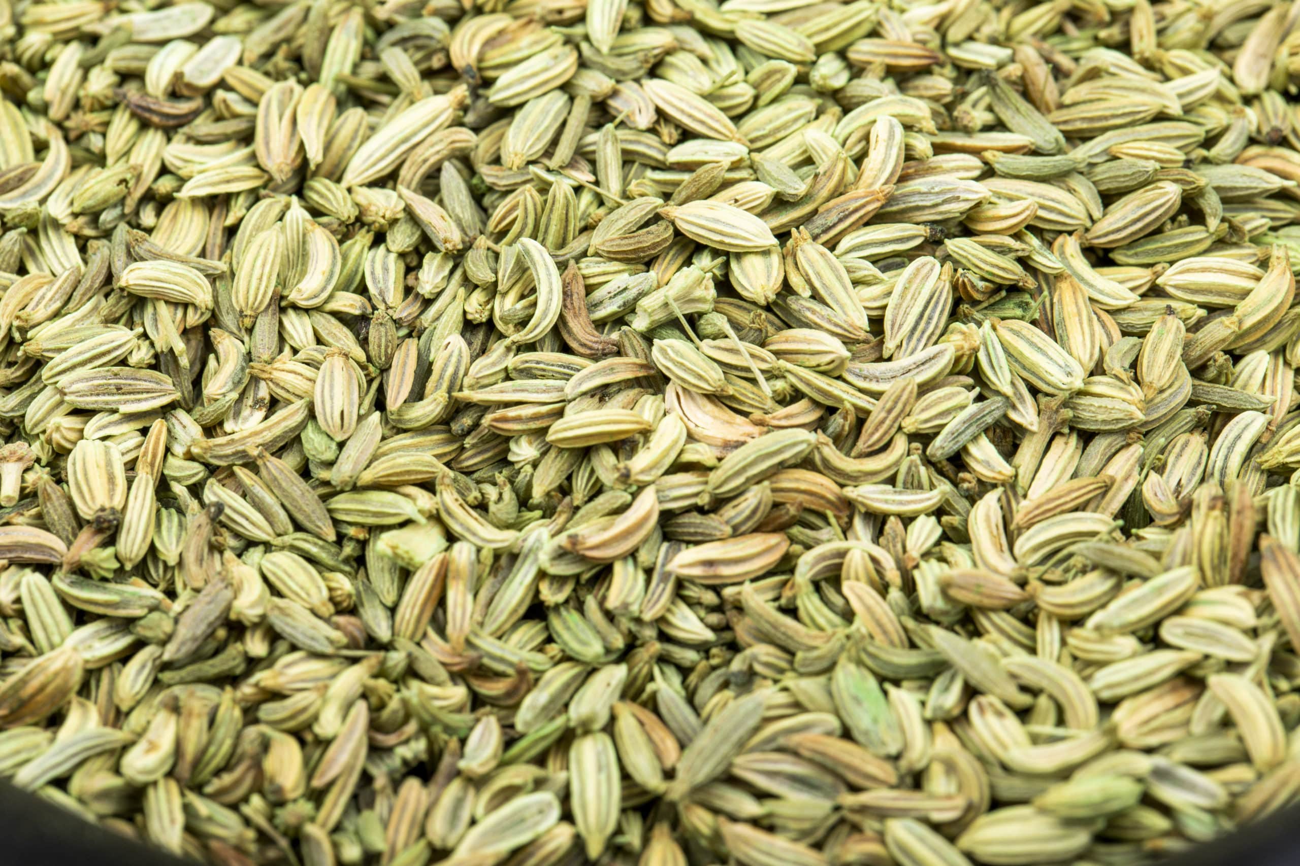 Anís Verde - Rea Reino Perdido